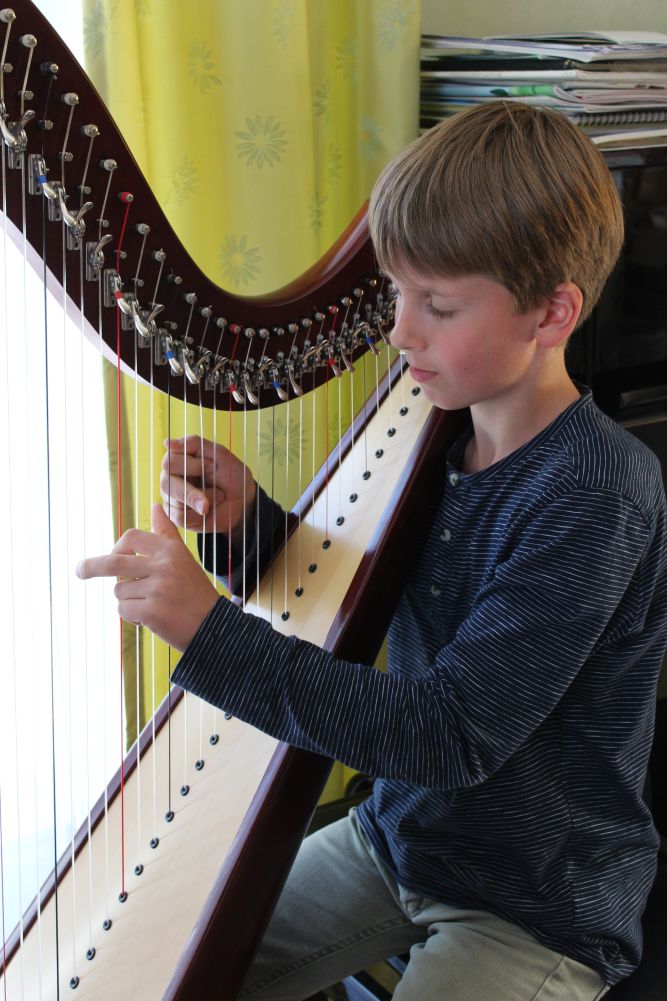 Unterricht an der Harfe - Musikschule Nienstäst Irene Buzalkovski